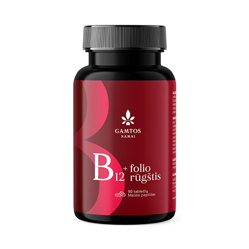 Vit B12 + Folio rūgštis tabletės N90